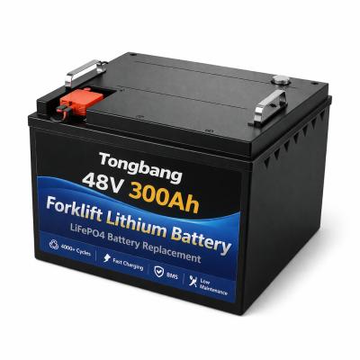 China 48V 300Ah Forklift Battery High Capacity LiFePO4 Industrial Battery for sale