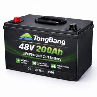 China 48V 200Ah LiFePO4 Golf Cart Battery High Capacity Lithium Battery for Long Range Heavy Duty for sale