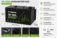 China 48V 100Ah LiFePO4 Battery for Golf Cart and Sightseeing Vehicles for sale