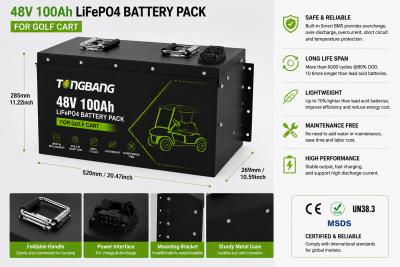 China 48V 100Ah LiFePO4 Battery for Golf Cart and Sightseeing Vehicles for sale