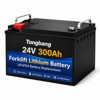 China 24V 300Ah LiFePO4 Forklift Battery for Warehouse Equipment Lithium Battery Pack Manufacturers for sale
