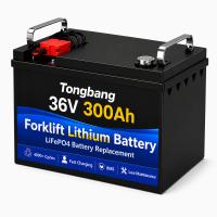 China 36V 300Ah LiFePO4 Forklift Battery for Reach Trucks Lithium Battery Pack Manufacturers for sale