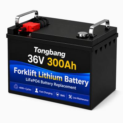 China 36V 300Ah LiFePO4 Forklift Battery for Reach Trucks Lithium Battery Pack Manufacturers for sale