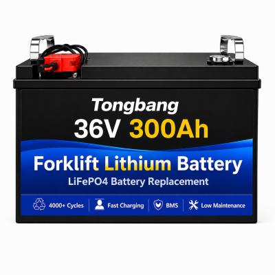 China 36V 300Ah Industrial Forklift Battery for Warehouse Operations Lithium Battery Pack Manufacturers for sale