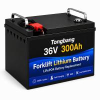 China 36V 300Ah Custom LiFePO4 Battery for Material Handling Equipment Lithium Battery Pack Manufacturers for sale