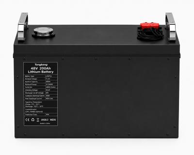 China 48V 200Ah LiFePO4 Forklift Battery with Fast Charging Technology Lithium Battery Pack Manufacturers for sale