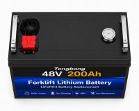China 48V 200Ah Industrial Forklift Lithium Battery for Warehouse Fleets Lithium Battery Pack Manufacturers for sale