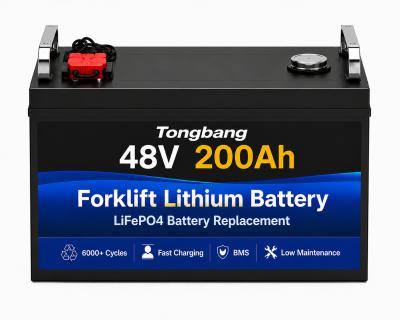 China 48V 200Ah OEM Forklift Battery with Smart BMS and CAN Bus Lithium Battery Pack Manufacturers for sale