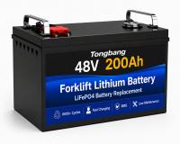China 48V 200Ah Lithium Battery Replacement for Lead Acid Forklifts Lithium Battery Pack Manufacturers for sale