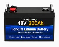 China 48V 200Ah Lithium Battery Replacement for Lead Acid Forklifts Lithium Battery Pack Manufacturers for sale