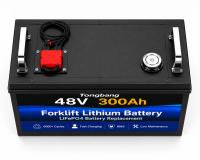 China 48V 300Ah Forklift Lithium Battery for Warehouse Fleet Operations Lithium Battery Pack Manufacturers for sale