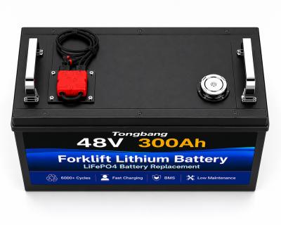 China 48V 300Ah Forklift Lithium Battery for Warehouse Fleet Operations Lithium Battery Pack Manufacturers for sale