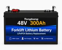 China 48V 300Ah Forklift Lithium Battery for Warehouse Fleet Operations Lithium Battery Pack Manufacturers for sale
