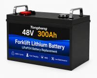China 48V 300Ah Industrial Forklift Lithium Battery for Multi-Shift Applications Lithium Battery Pack Manufacturers for sale