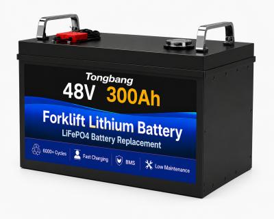 China 48V 300Ah Industrial Forklift Lithium Battery for Multi-Shift Applications Lithium Battery Pack Manufacturers for sale