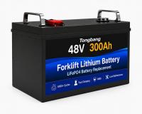 China 48V 300Ah High Capacity Lithium Battery for Distribution Centers Lithium Battery Pack Manufacturers for sale