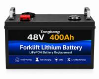China 48V 400Ah OEM Forklift Battery with Smart BMS and CAN Bus Integration Lithium Battery Pack Manufacturers for sale
