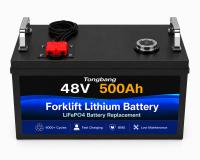 China 48V 500Ah LiFePO4 Forklift Battery for 24/7 Warehouse Applications Lithium Battery Pack Manufacturers for sale