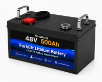 China 48V 500Ah High Capacity Forklift Lithium Battery for Heavy Duty Fleet Management Lithium Battery Pack Manufacturers for sale