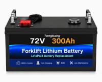 China 72V 300Ah LiFePO4 Forklift Battery for Warehouse and Industrial Applications Lithium Battery Pack Manufacturers for sale