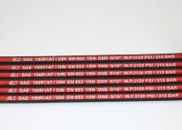 China Durable Flexible Hydraulic Hose SAE 100R1 AT / DIN EN 853 1SN DN8 5/16