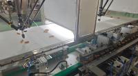 China Puffed Food Cartoning Machine Stainless Steel Automatic Cartoner Machine High Speed for sale