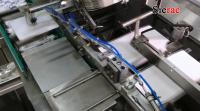 China Rice Flour Sachet Cartoning Machine 380V / 50Hz Horizontal Cartoning Machine Continuous Servo Feeding for sale