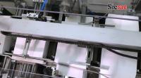 China Rice Flour Sachet Cartoning Machine 380V / 50Hz Horizontal Cartoning Machine Continuous Servo Feeding for sale