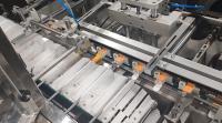 China 30 - 80 Cartons/Min Cosmetic Cartoner Small Bottle Cartoning Machine With Servo Feeding for sale