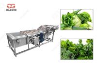 China Ce Certified Stainless Steel Fruit Processing Machine Fruit Mango Apple Washing Machine for sale