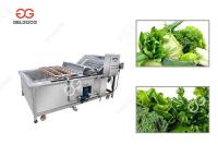 China Ce Certified Stainless Steel Fruit Processing Machine Fruit Mango Apple Washing Machine for sale