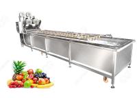 China Ce Certified Stainless Steel Fruit Processing Machine Fruit Mango Apple Washing Machine for sale