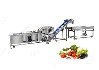 China 380V CE Certified Stainless Steel Commercial Fruit And Vegetable Washing Processing Line for sale