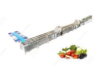 China 380V CE Certified Stainless Steel Commercial Fruit And Vegetable Washing Processing Line for sale