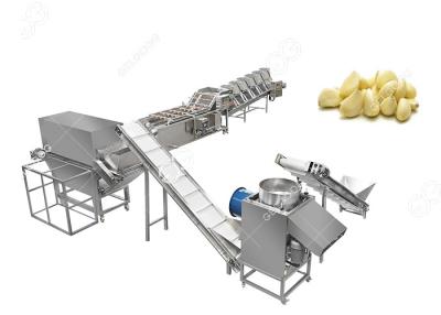 China CE certified commercial Garlic Separating Peeling Packaging Production Line Garlic Peeler Machine Project for sale