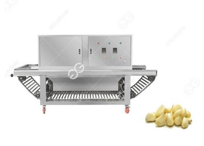 China 380V CE Certified Commercial Garlic Skin Remover Machine Garlic Peeling Machine For Sale for sale