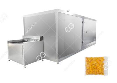 China Factory Price Frozen Mango Production Line Fruit And Vegetable Processing Industry for sale
