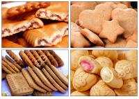 China Stainless Steel Biscuit Production Line, Efficient Cracker Making Machine for sale
