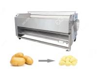 China Brush Type Carrot Potato Washing Machine Peeler Carrot Polishing Machine For Sale for sale