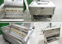 China Brush Type Carrot Potato Washing Machine Peeler Carrot Polishing Machine For Sale for sale