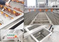 China GELGOOG Jujube Dates Fruit Washing Machine Continously High Capacity for sale