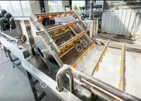 China GELGOOG Jujube Dates Fruit Washing Machine Continously High Capacity for sale