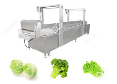 China Automatic Food Precooking Vegetable Blanching and Cooking Machine for sale
