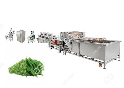 China Industrial  Moringa Leaf Powder Production Line for sale