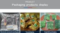 China Pouch Packaging Automatic Double Chamber Aluminum Foil Vacuum Sealer Machine Advantage for sale