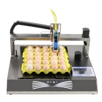 China Ink Type Eco Solvent Ink Industry Smart Automatic Egg Date Stamp Printing Machine for sale
