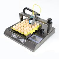 China Ink Type Eco Solvent Ink Industry Smart Automatic Egg Date Stamp Printing Machine for sale