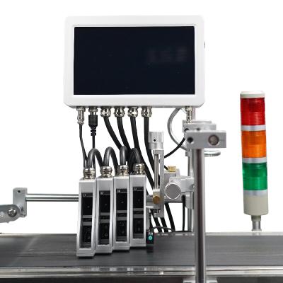China Easy to Operate 10 inch Online TIJ Inkjet Printer for Industrial Date Code Printing for sale