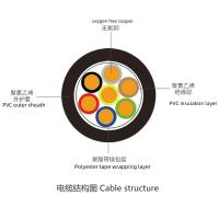 China 380V Copper Core PVC Insulated PVC Sheathed Armored Cable Fiber Optic Cable AVVR Type for sale