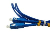 China 1 Core FTTH Armored Patchcord Sm Duplex Jumper Sc/LC/FC/St G652D Fiber Optic Patch Cord for sale